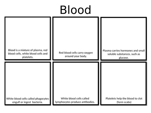 Blood and Bone Marrow | Teaching Resources
