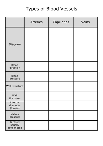 Blood Vessels | Teaching Resources