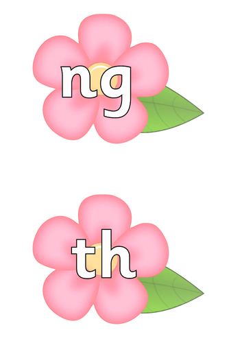 Digraph and Trigraph sound flowers (Phase 2/3) | Teaching Resources