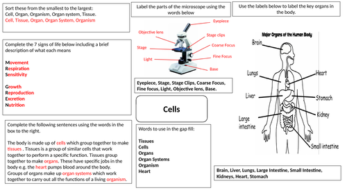 KS3 Science Cells revision mind map | Teaching Resources
