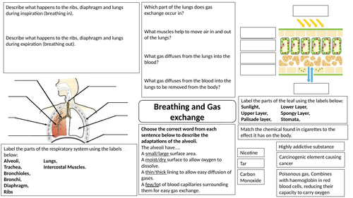 KS3 Science Breathing, gas exchange and respiration revision mind map ...