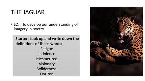 KS3 Poetry: Animal Poetry | Teaching Resources