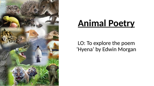 KS3 Poetry: Animal Poetry | Teaching Resources