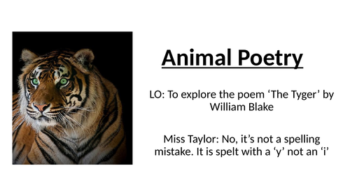 KS3 Poetry: Animal Poetry | Teaching Resources