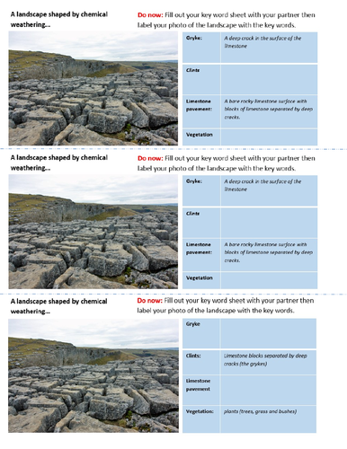Geography KS3: UK Landscapes & Processes SOW 7 lessons. Forests ...