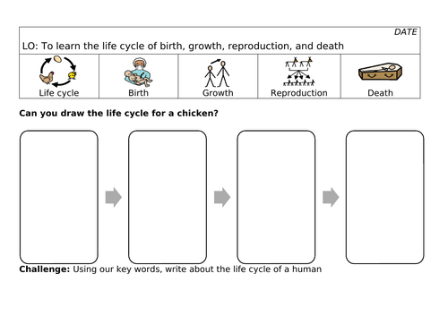 The Life Cycle of Birth, Growth, Reproduction & Death | Teaching Resources