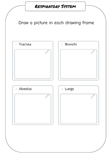 Gas Exchange Topic complete with powerpoints and worksheets. NO PREP ...