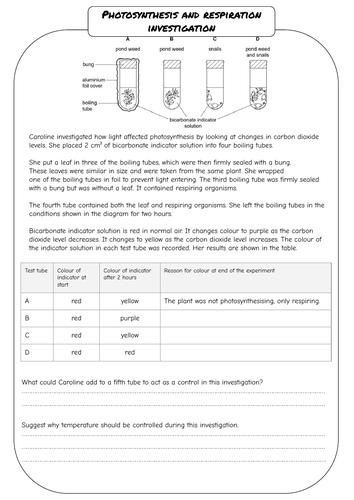 Gas Exchange Topic complete with powerpoints and worksheets. NO PREP ...