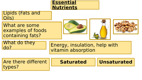Health & Social Care Level 3 BTEC Unit 19 | Teaching Resources