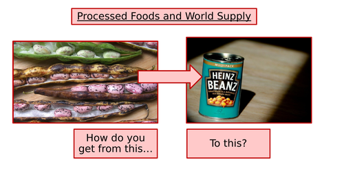 Health & Social Care Level 3 BTEC Unit 19 | Teaching Resources