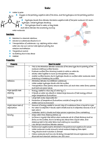 OCR A Level Biology 2.1.2 Biological Molecules - Revision notes ...