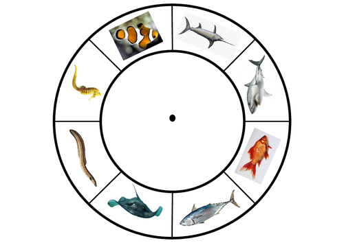 Animal type spin wheels | Teaching Resources