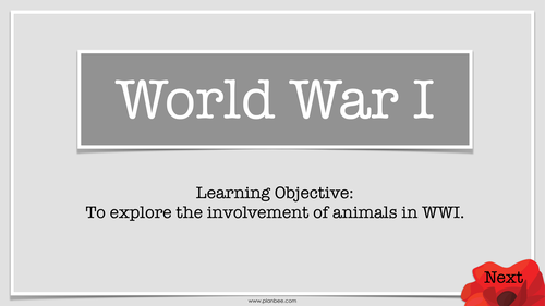 World War 1 Unit of Work | Teaching Resources