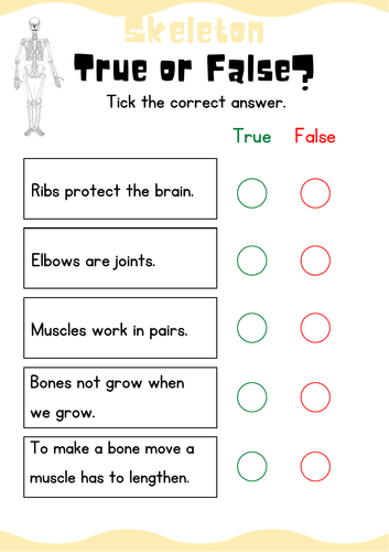 Skeleton and muscles worksheet with answers - grade 4 Cambridge ...