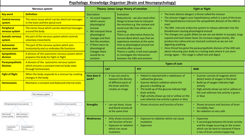 AQA GCSE Psychology Knowledge Organiser: Brain and Neuropsychology ...