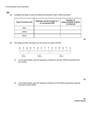 AQA 20.3 Regulation of Transcription & Translation | Teaching Resources
