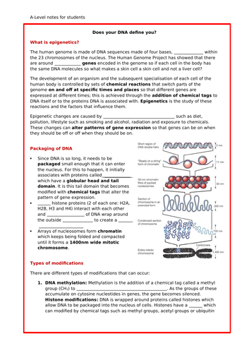AQA 20.4 Epigenetics | Teaching Resources