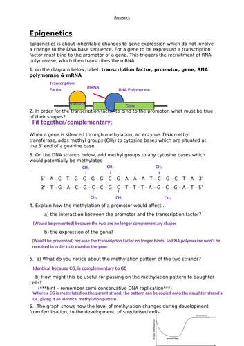AQA 20.4 Epigenetics | Teaching Resources
