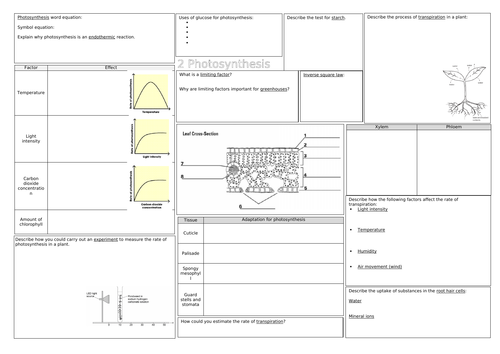 AQA Photosynthesis revision mat | Teaching Resources