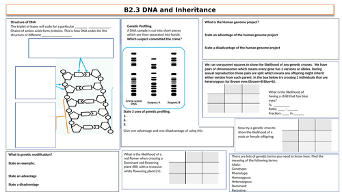 Revision Sheets for WJEC Biology B2 | Teaching Resources