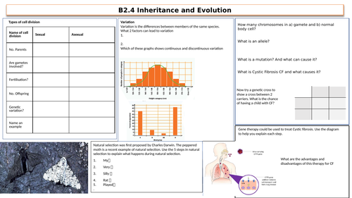Revision Sheets for WJEC Biology B2 | Teaching Resources