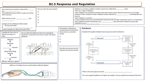 Revision Sheets for WJEC Biology B2 | Teaching Resources