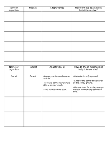 Competition KS3 Activate Science | Teaching Resources