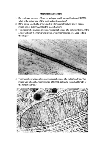 AQA 2.1 Calculating Magnification | Teaching Resources