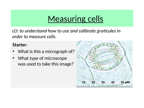 AQA 2.4 Measuring Cells (Graticules) | Teaching Resources