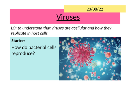 AQA 2.7 Viruses | Teaching Resources