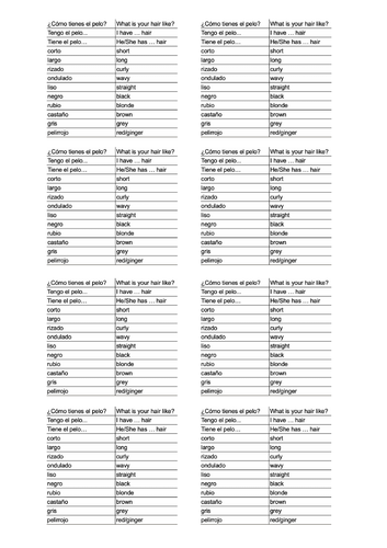 Y7 Spanish VIVA Hair Descriptions PPT | Teaching Resources