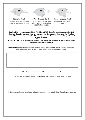 Evolution And Inheritance Teaching Resources 