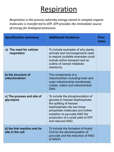 OCR Respiration A level Biology handout (Approx 9 lessons) | Teaching ...