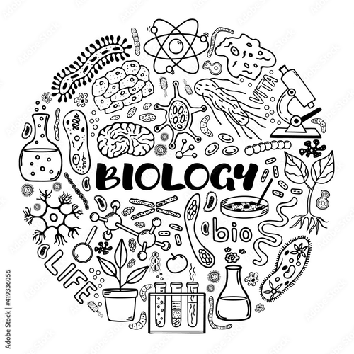 GCSE biology topic 7 ecology grade 9 material notes | Teaching Resources