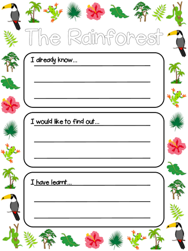 Rainforest Topic Front Cover | Teaching Resources