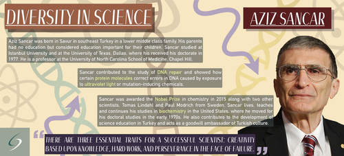 Diversity in Science Displays | Teaching Resources