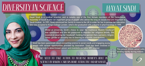 Diversity in Science Displays | Teaching Resources