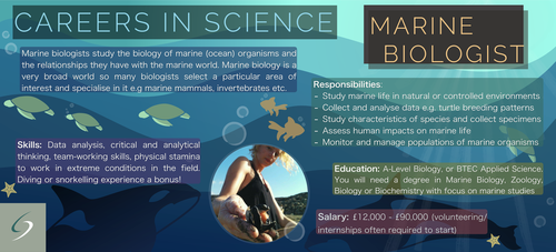 Careers in Science Displays | Teaching Resources