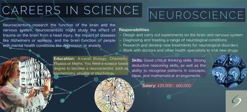 Careers in Science Displays | Teaching Resources