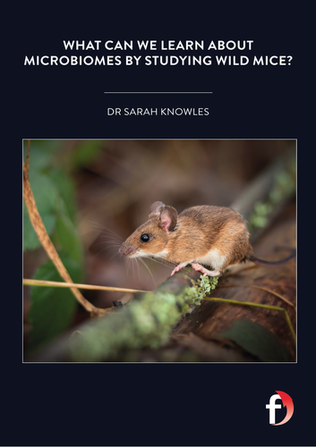 What can we learn about microbiomes by studying wild mice? | Teaching ...