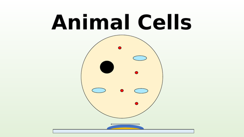 GCSE Cell Biology | Teaching Resources
