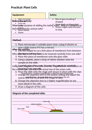GCSE Cell Biology | Teaching Resources
