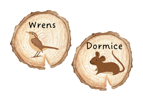 Woodland Animal Group Names | Teaching Resources