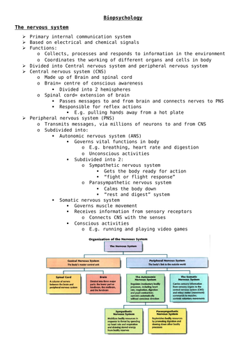 aqa a level BIOPSYCHOLOGY revision notes | Teaching Resources