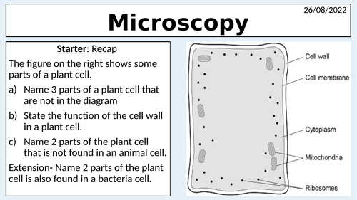 Eukaryotic and Prokaryotic Cells, Microscopy & Microscopy Practical (3 ...