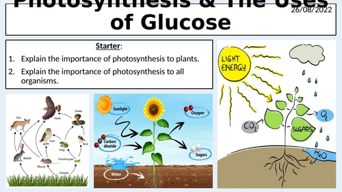 Photosynthesis, Uses of Glucose, Rate of Photosynthesis (4 lessons ...