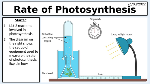 Photosynthesis, Uses of Glucose, Rate of Photosynthesis (4 lessons ...