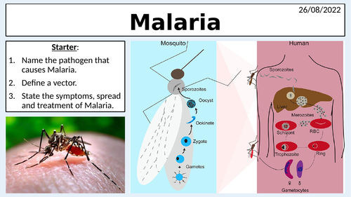 Pathogens, Malaria, Human Defence System (3 lessons) | Teaching Resources