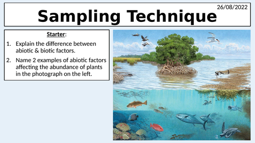 Adaptations, Levels of Organisation and Sampling Techniques (3 lessons ...
