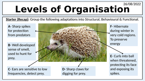 Adaptations, Levels of Organisation and Sampling Techniques (3 lessons ...